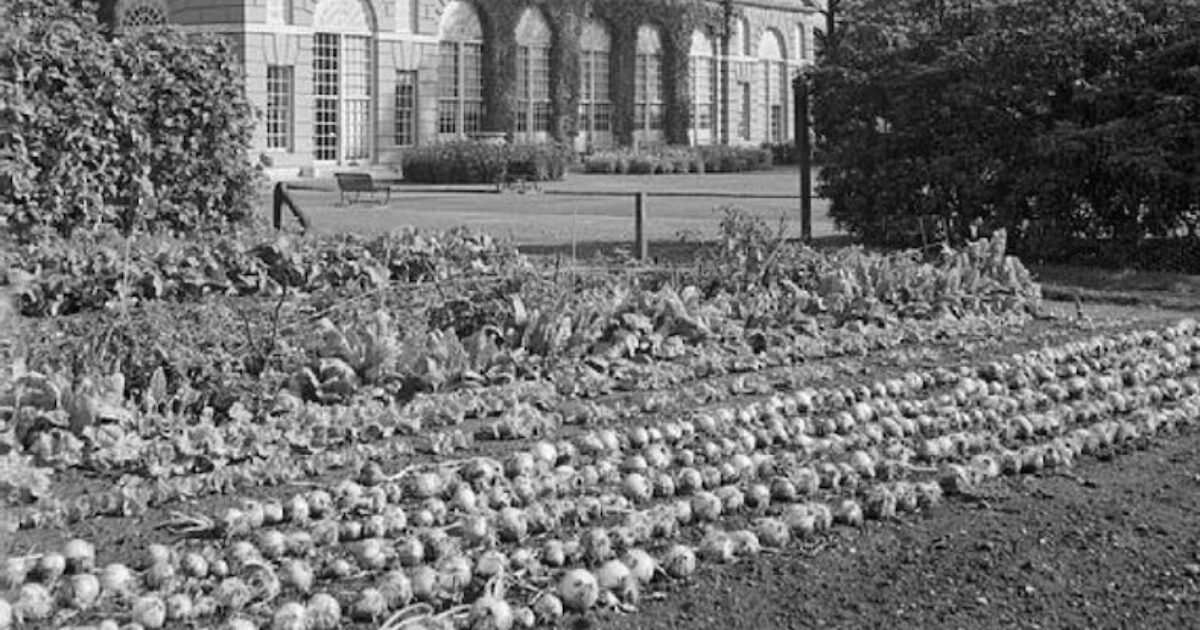 Gardening in Wartime: Parks & Gardens UK Records - Parks & Gardens