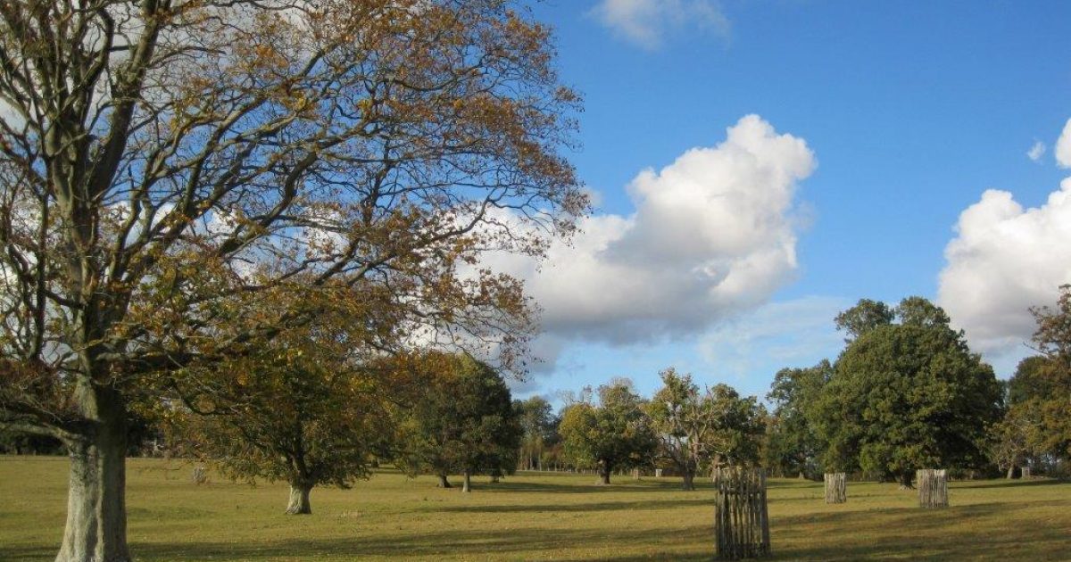 The Historic Landscape Project: Conservation… - Parks & Gardens