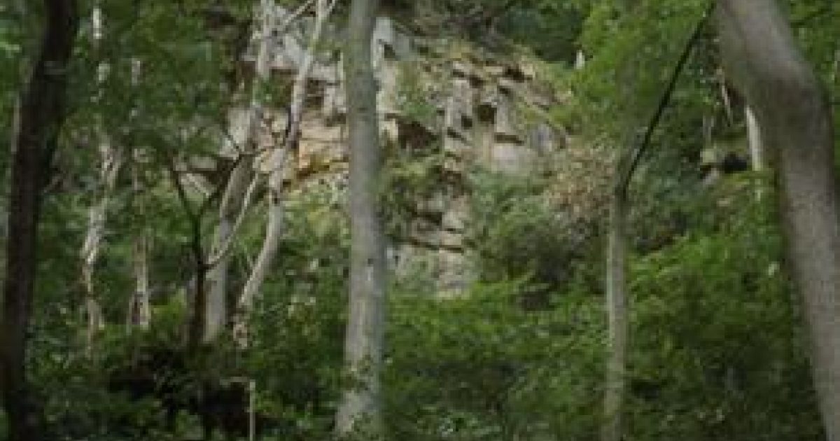 Hackfall - Ripon - Parks & Gardens