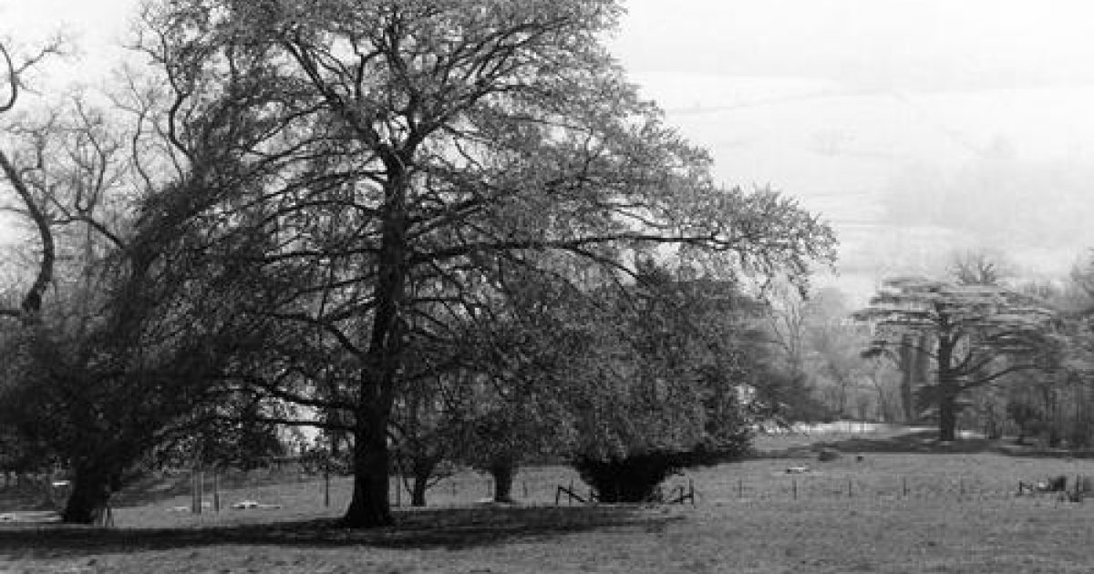 Claverton Manor - Bath - Parks & Gardens