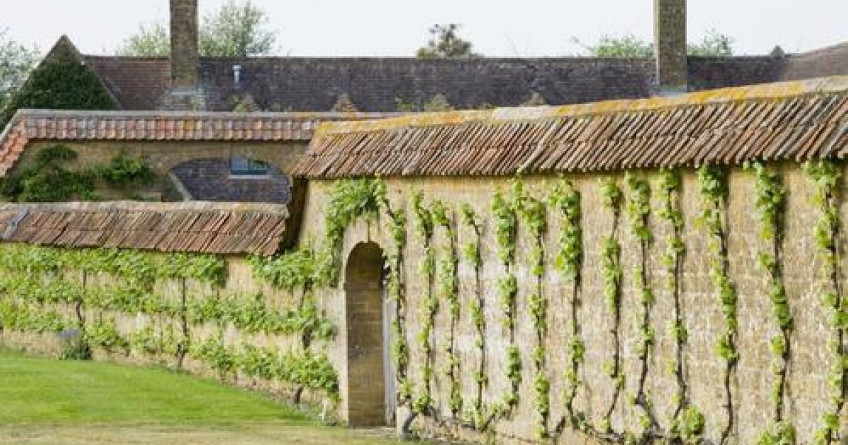 Barrington Court - Barrington - Parks & Gardens