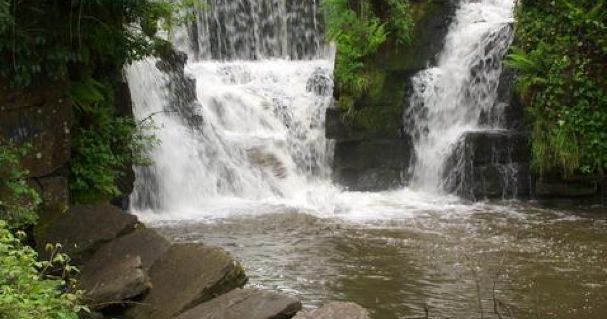 Penllergare - Swansea - Parks & Gardens