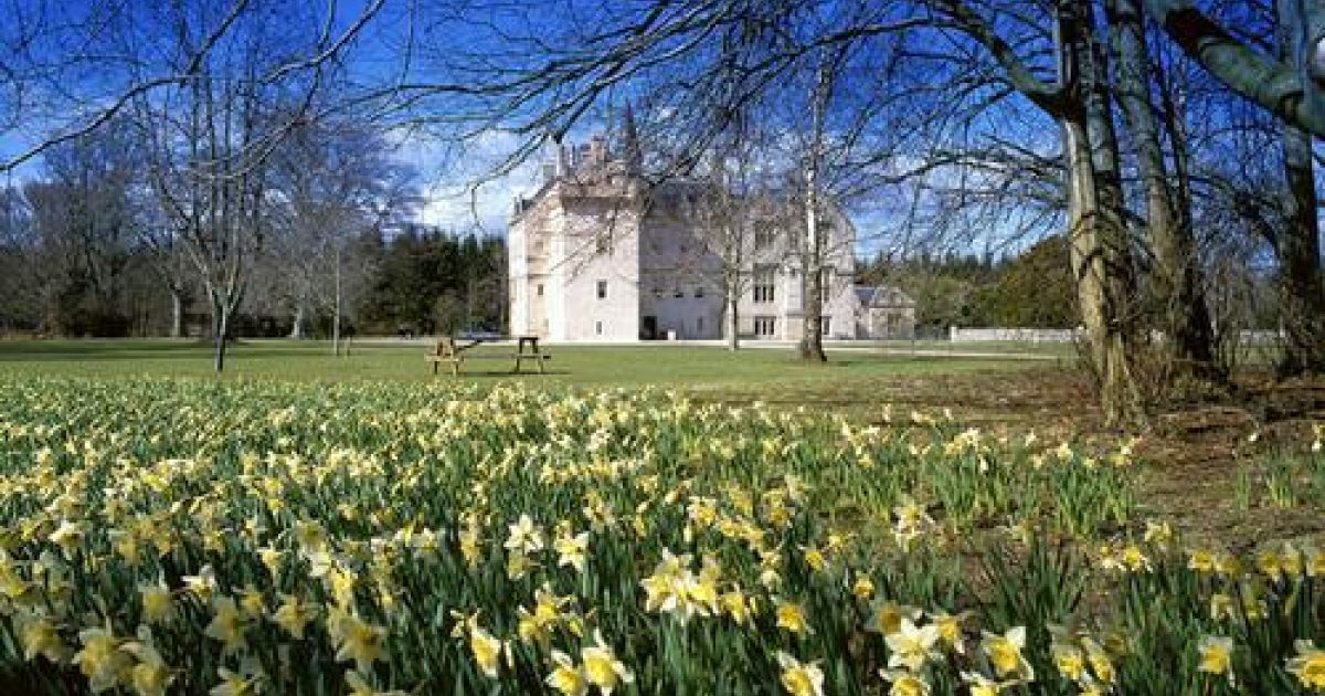 Brodie Castle - Dyke - Parks & Gardens