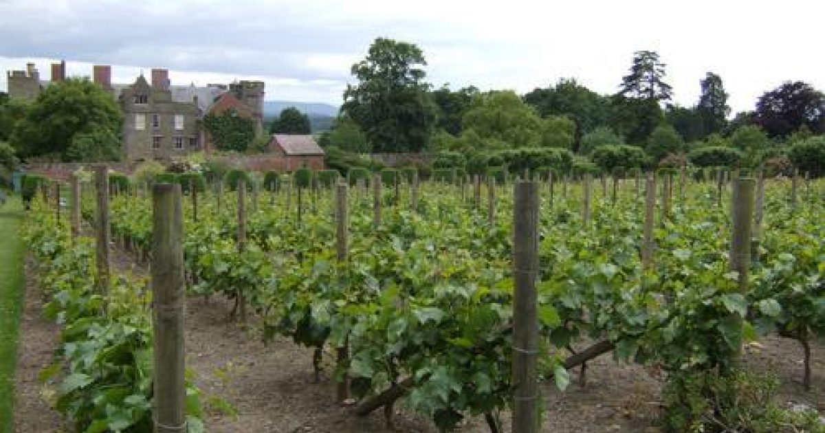 Croft Castle - Leominster - Parks & Gardens