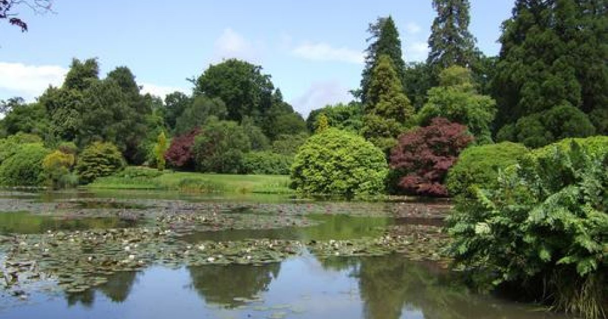 Sheffield Park - Haywards Heath - Parks & Gardens