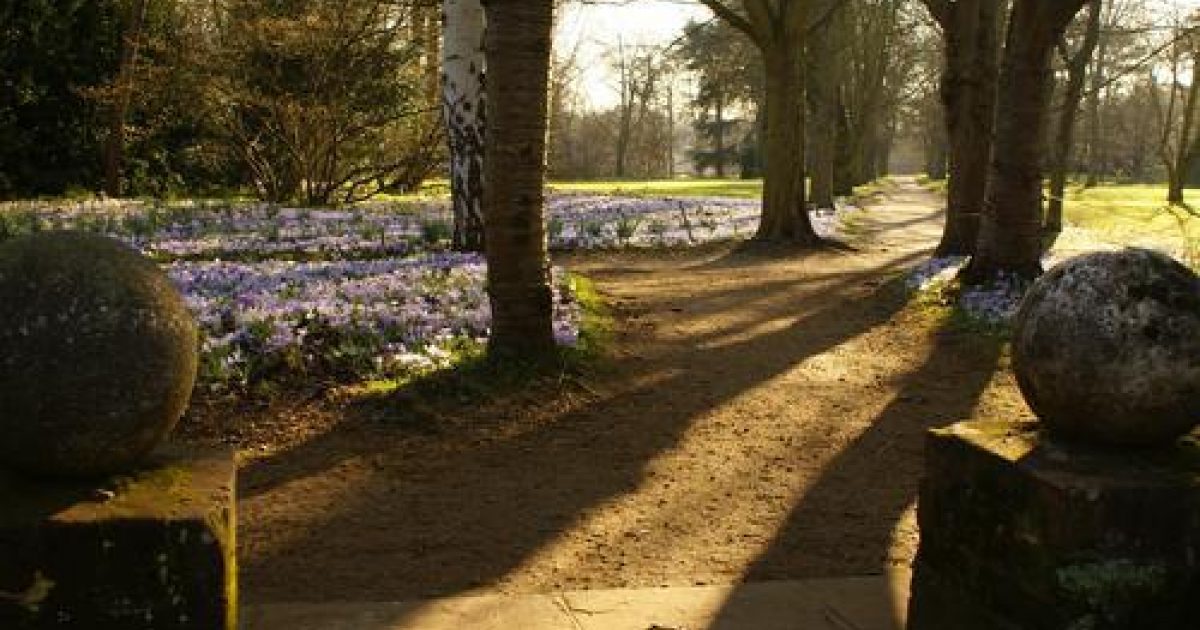 Cannizaro Park - Wimbledon - Parks & Gardens