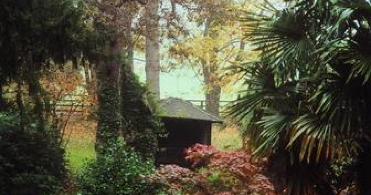 Coedarhydyglyn - Cardiff - Parks & Gardens