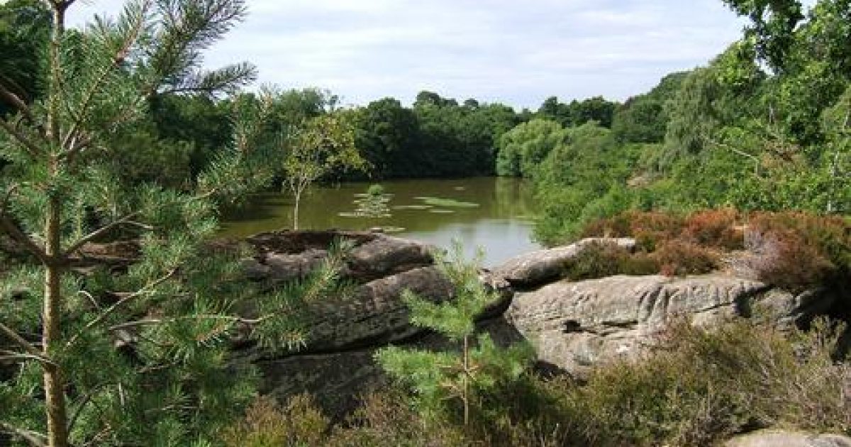 Plumpton Rocks - Harrogate - Parks & Gardens