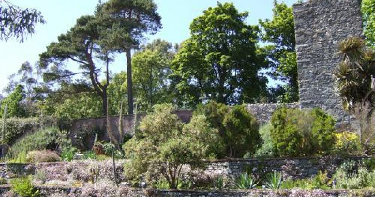 Logan Botanic Garden - Port Logan - Parks & Gardens