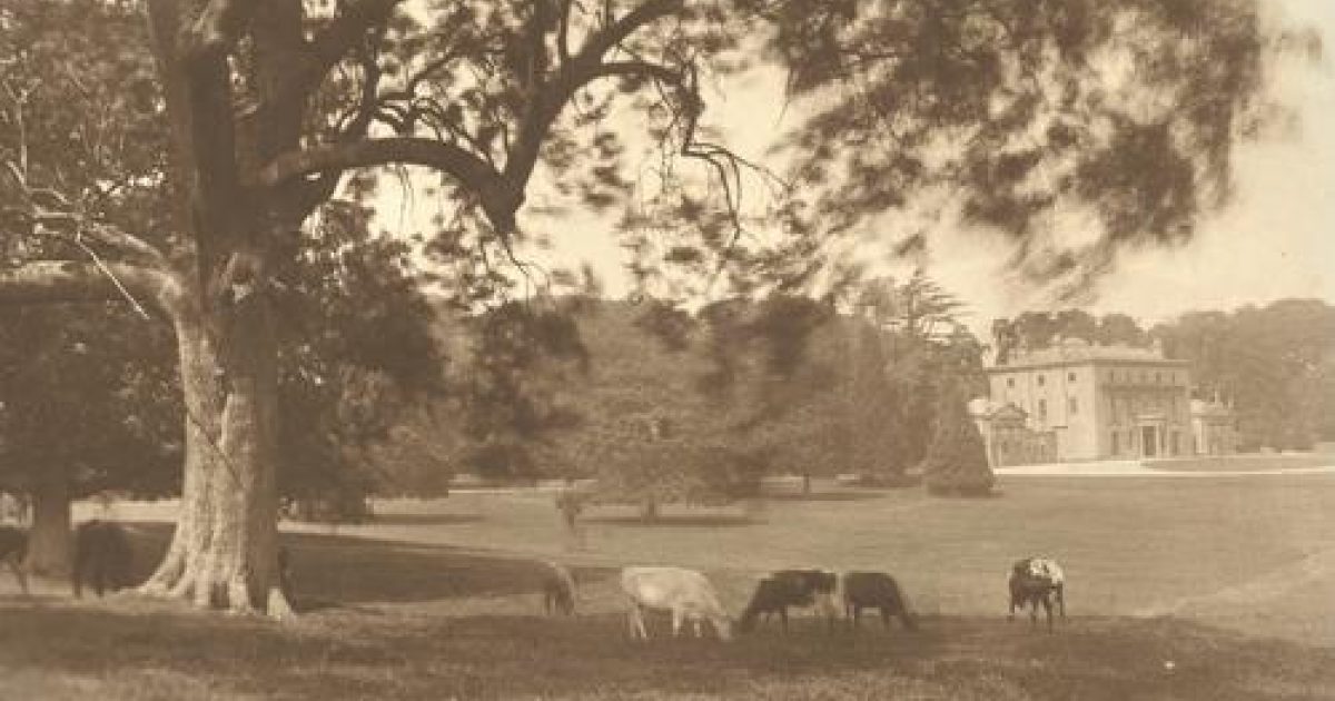 Piercefield Park - Chepstow - Parks & Gardens