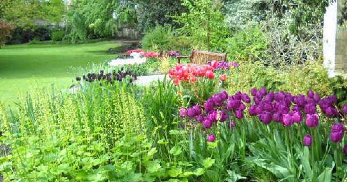 Museum Gardens, York - York - Parks & Gardens