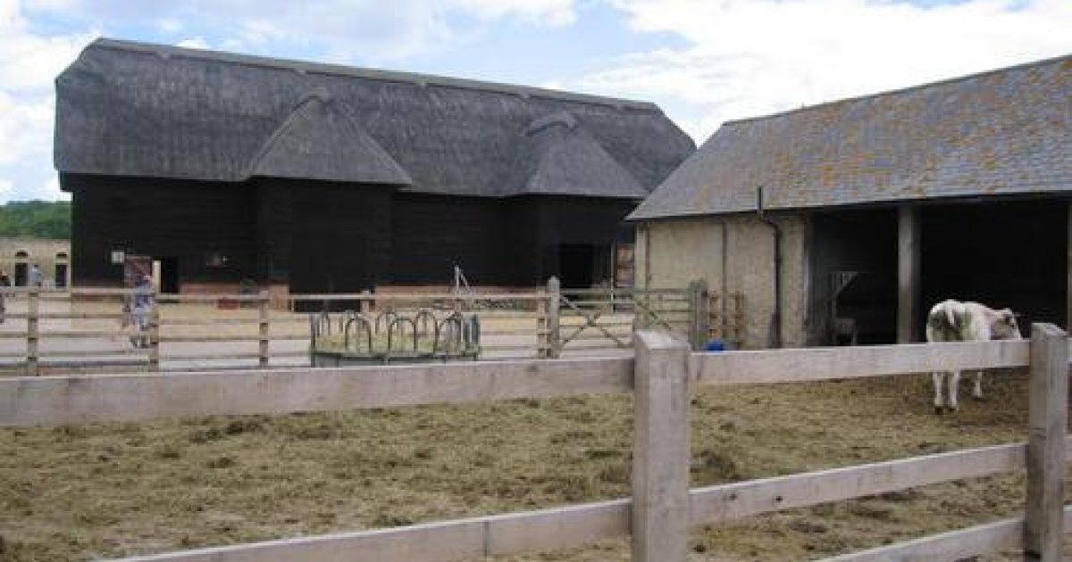Wimpole Hall, home farm - Cambridge - Parks & Gardens