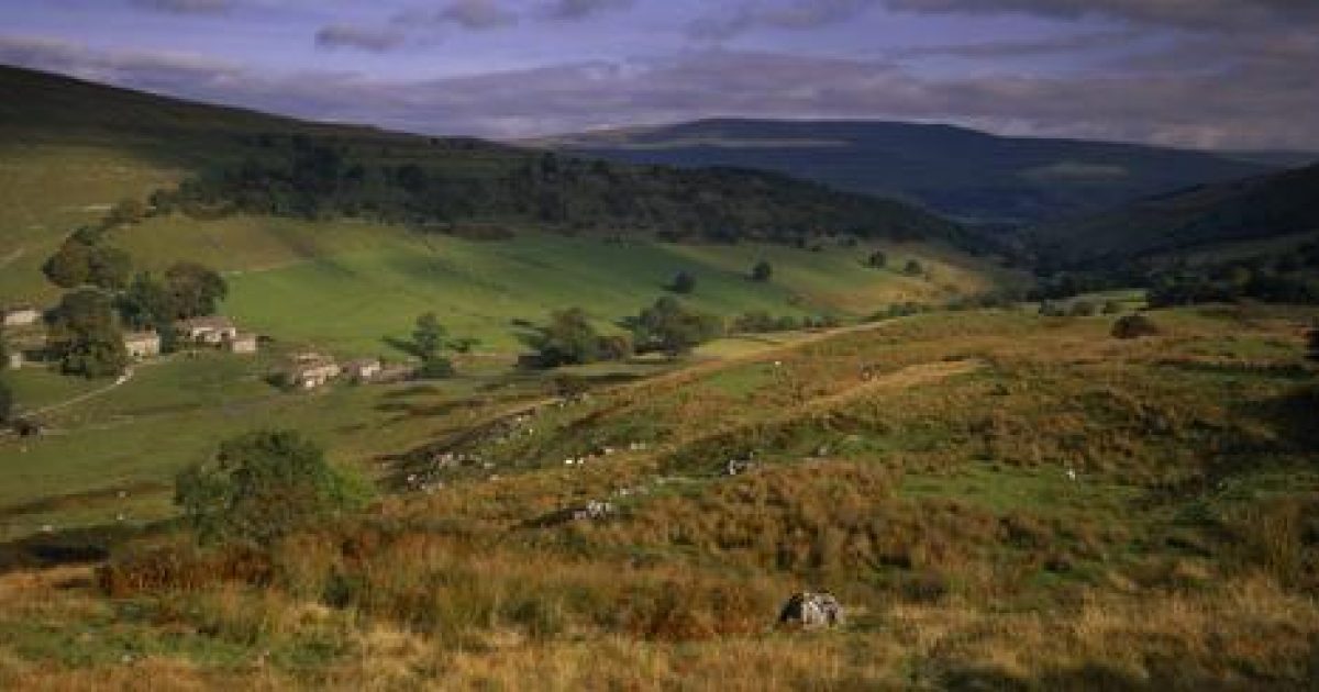 Yockenthwaite Farm - Langstrothdale - Parks & Gardens