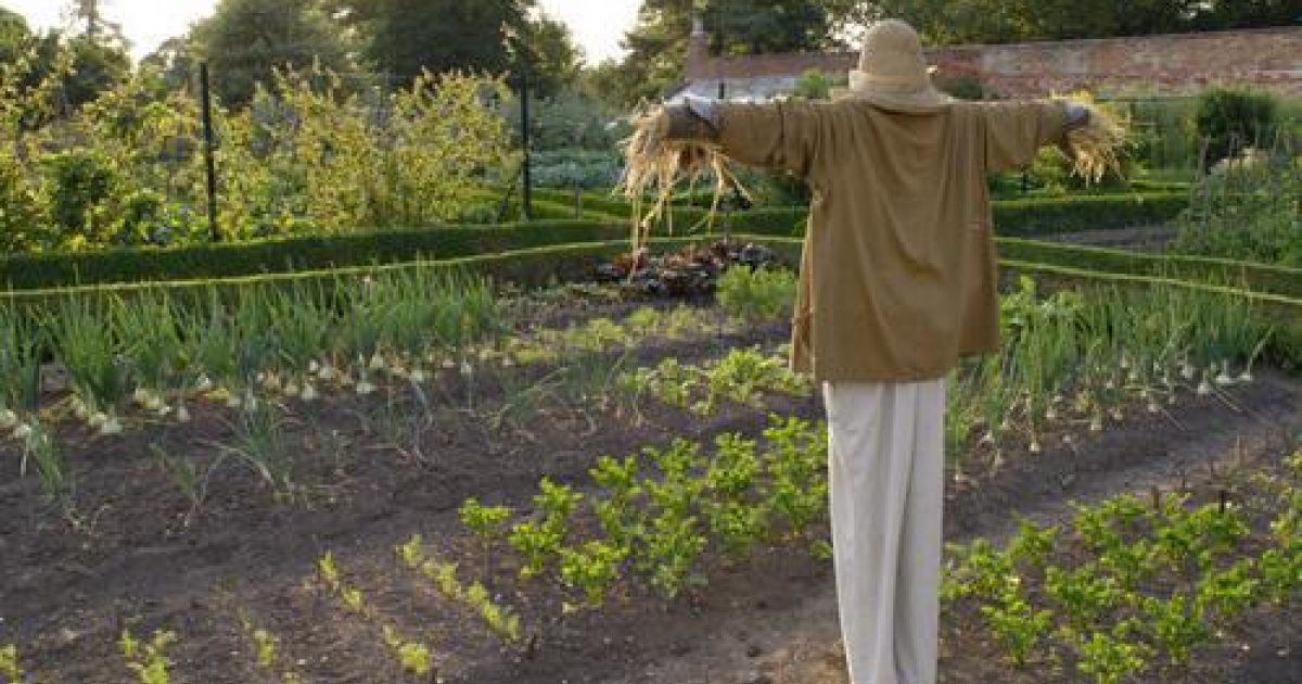 Calke Abbey, Kitchen Garden - Ticknall - Parks & Gardens