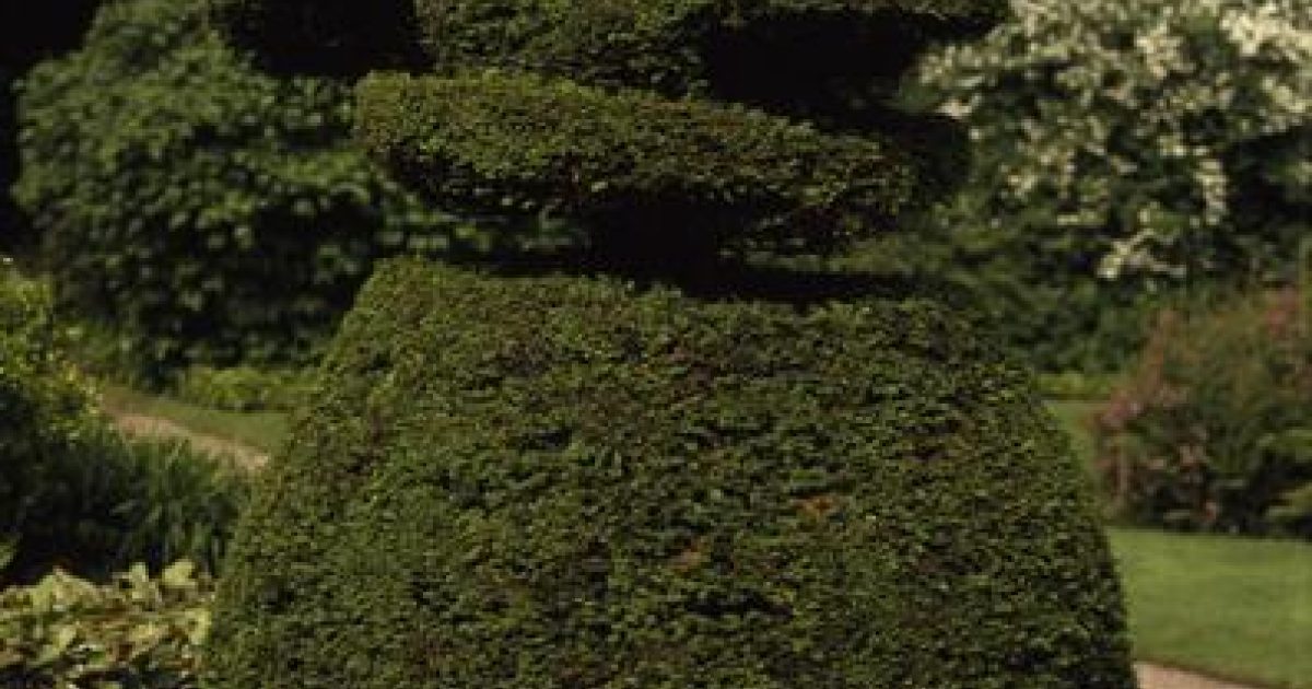 Rufford Old Hall - Ormskirk - Parks & Gardens