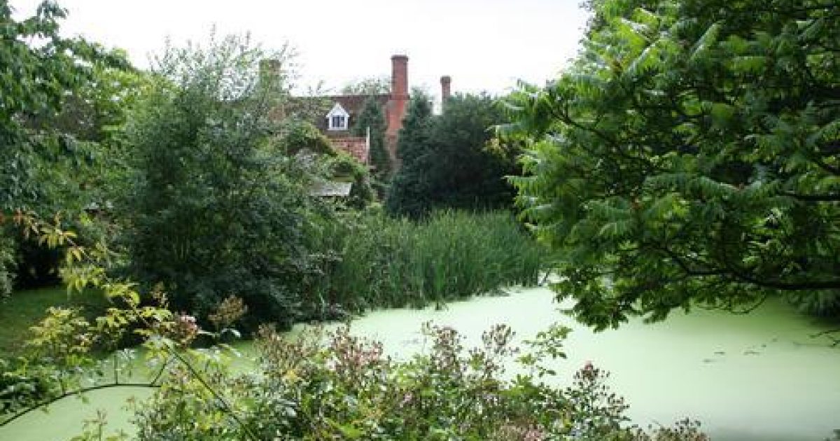 Buxlow Manor - Saxmundham - Parks & Gardens