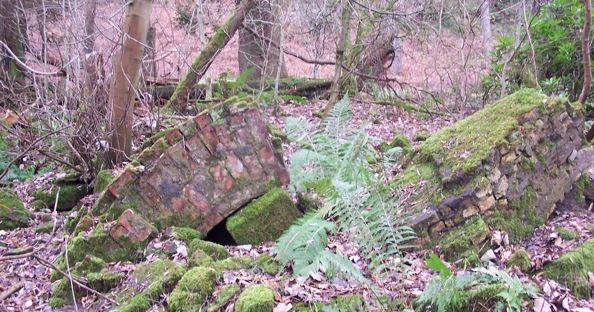 Cowdon Hall - Neilston - Parks & Gardens