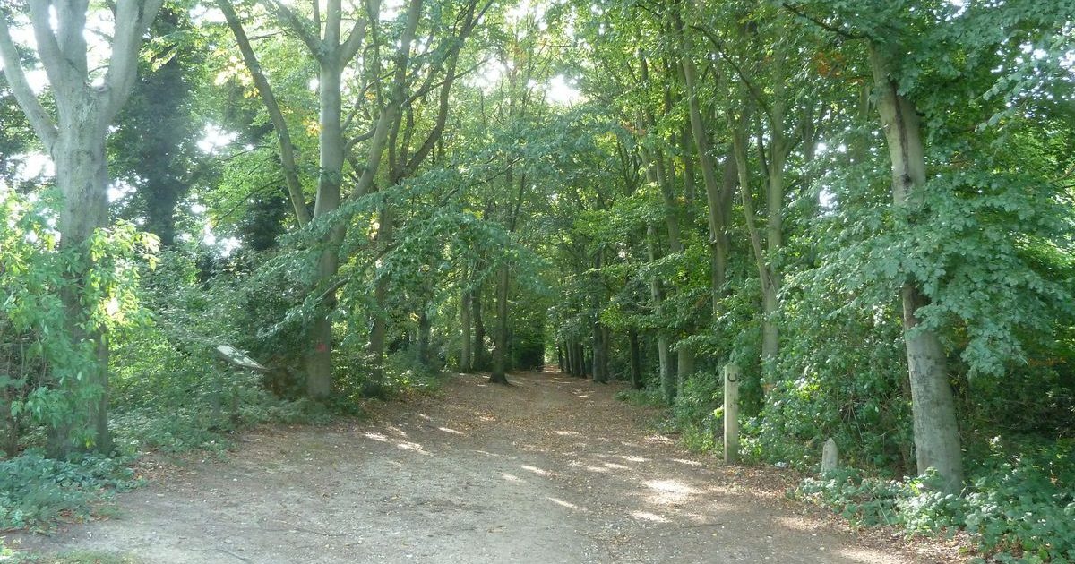 Digswell Park - Welwyn Garden City - Parks & Gardens