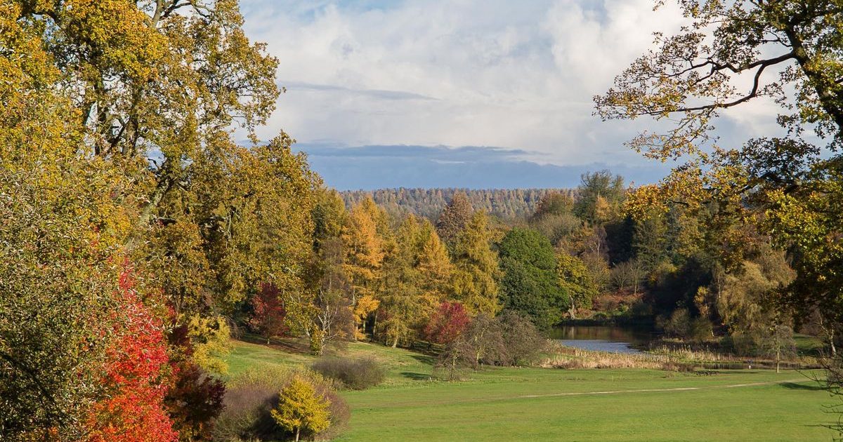 The Yorkshire Arboretum - Malton - Parks & Gardens