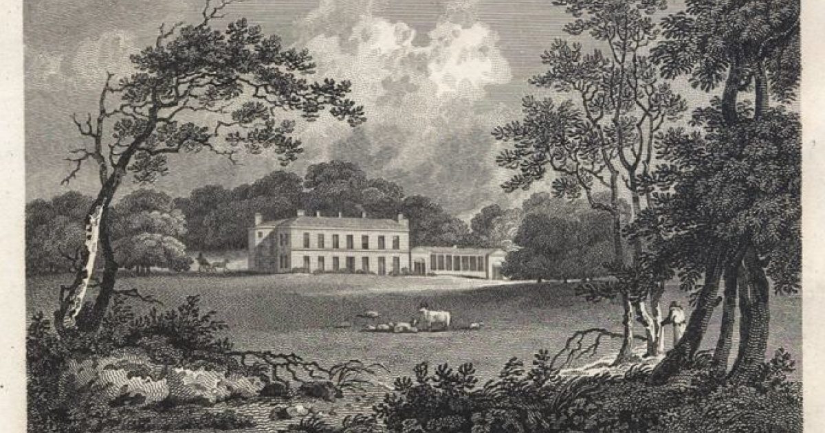 Cuffnells - Ringwood - Parks & Gardens