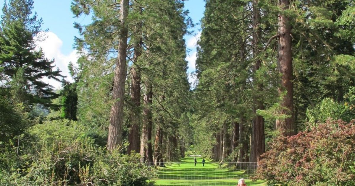 Benmore - Uig - Parks & Gardens