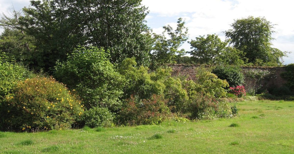 Muirfield Gate - Gullane - Parks & Gardens