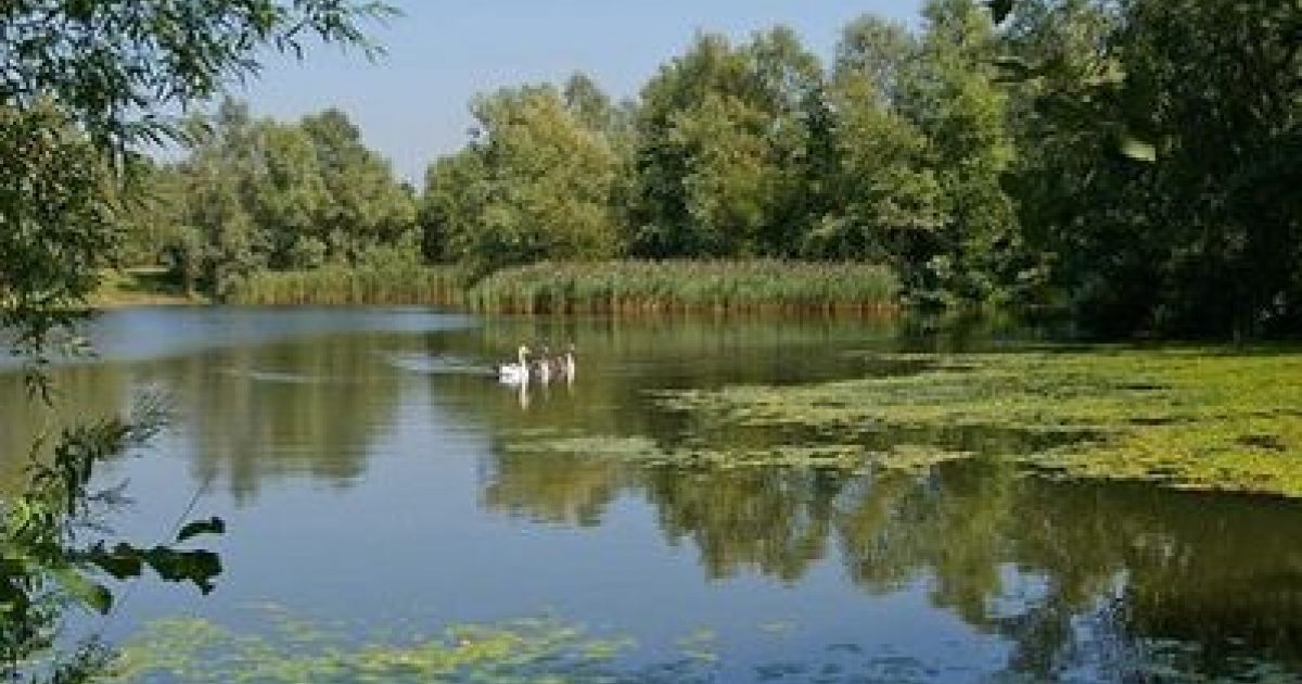 Belhus Park - Thurrock - Parks & Gardens