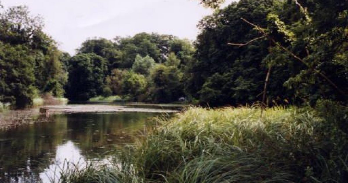 Digswell Lake - Welwyn Garden City - Parks & Gardens