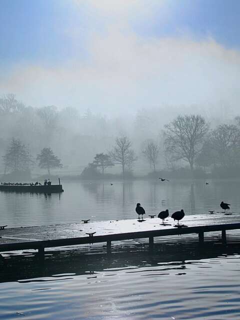 Wimbledon Park - Wimbledon - Parks & Gardens